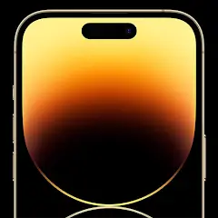 DNotch v2.2.5 MOD APK [Premium Unlocked] for Android